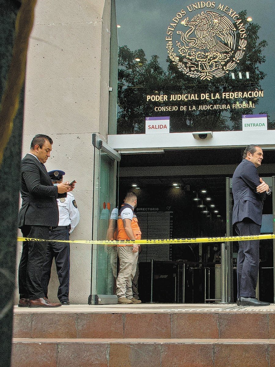 El Crimen Organizado Podría Injerir En La Elección De Jueces: Édgar ...