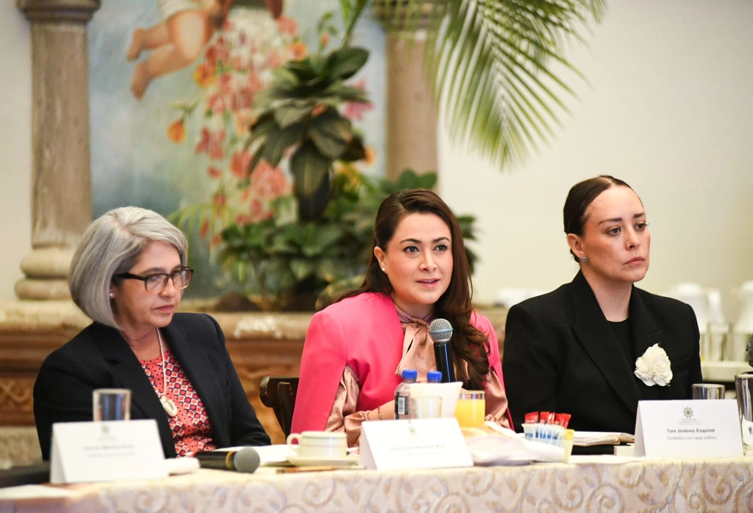 Tere Jiménez Llama A Redoblar Esfuerzos Por La Seguridad Y La ...